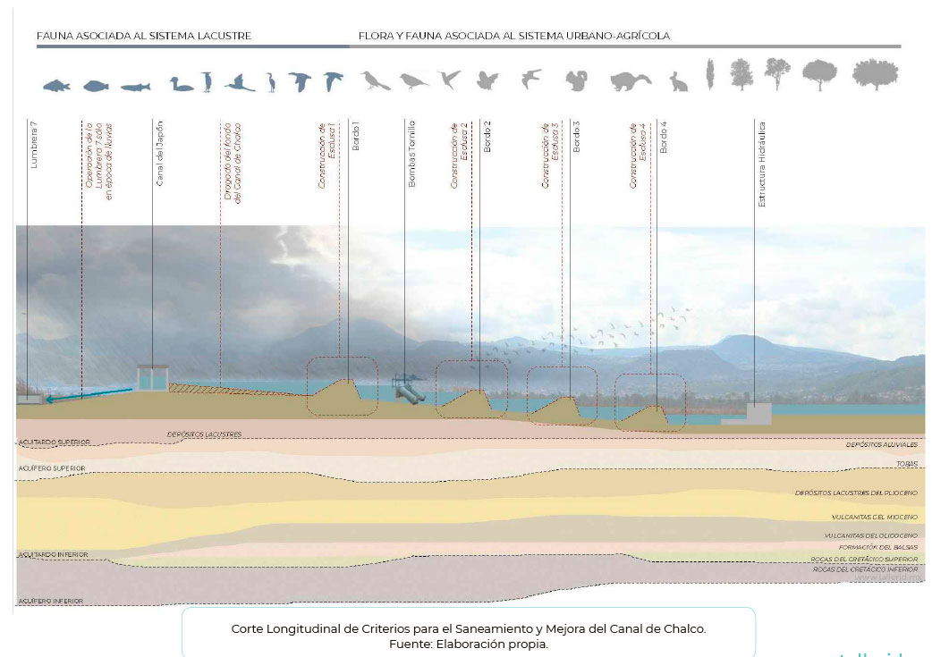 Corena -ESTUDIOS | Taller ID